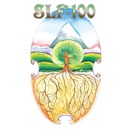 SLF-100 Enzyme Cleaner – Aeromixer