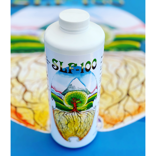 SLF-100 Enzyme Cleaner – Aeromixer