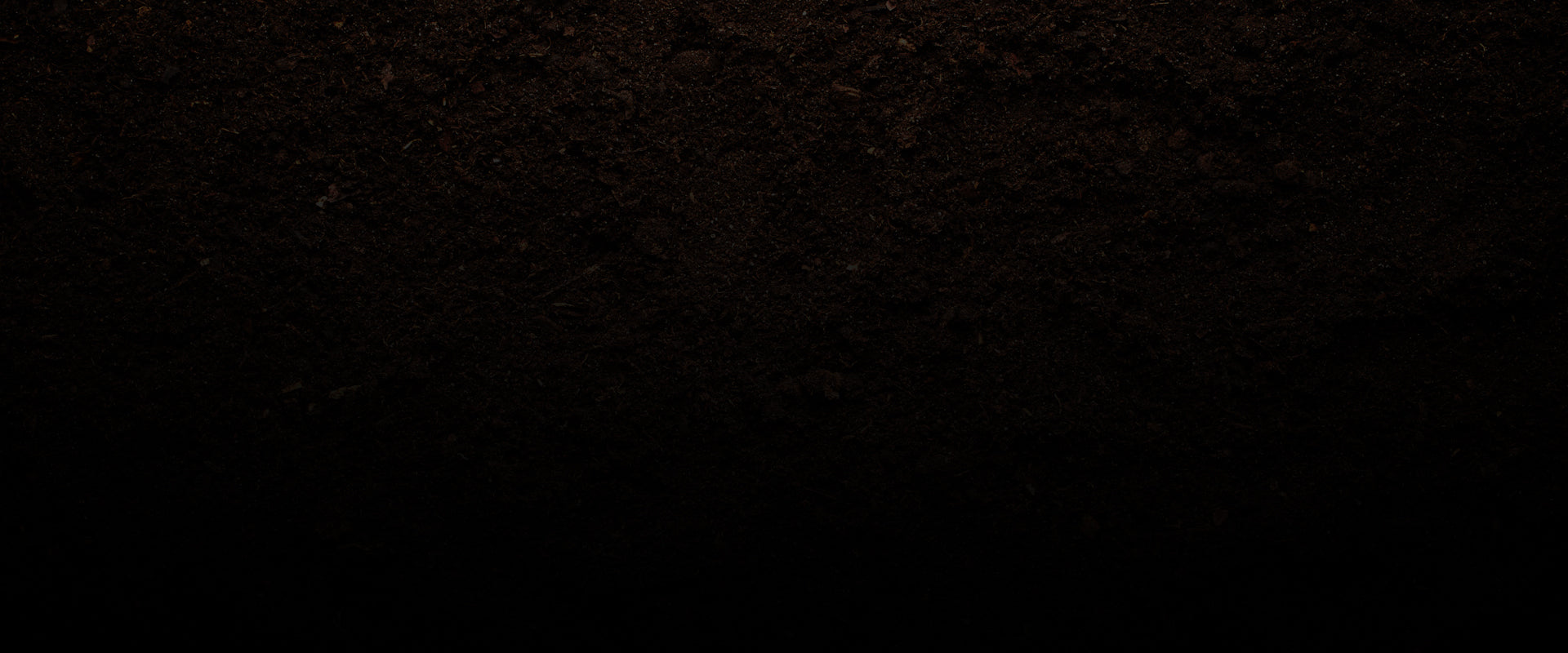 Bundle & Save – Aeromixer