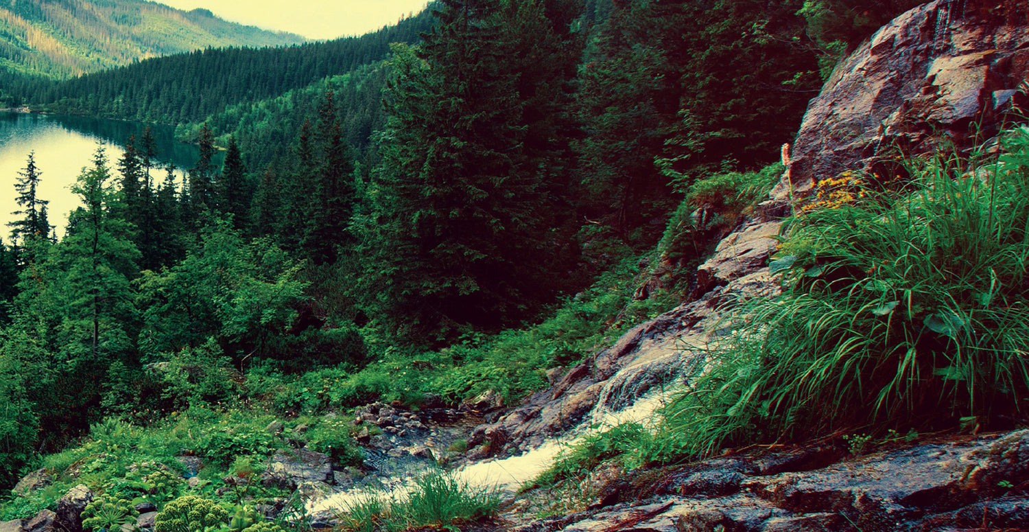 Bundle & Save – Aeromixer